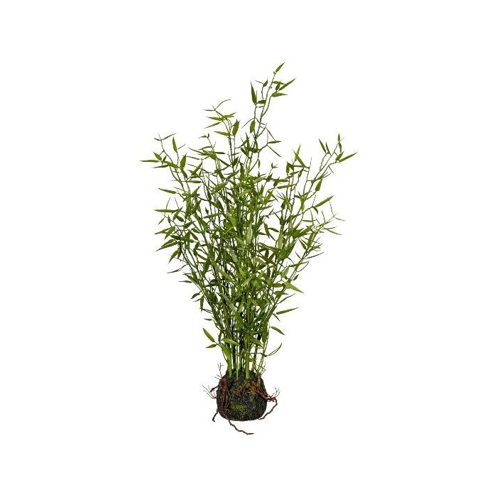 Kunstpflanze Bambus FROHAN, Erdballen, Wurzeln, 60cm